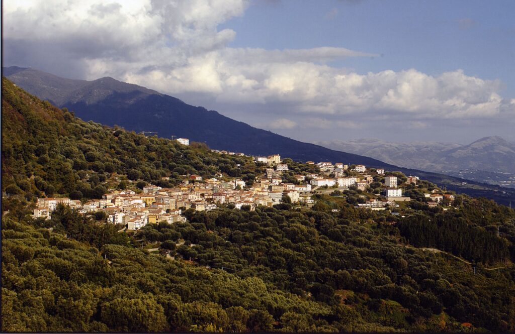 Laurito: concessione uso impianto sportivo per l'anno 2019/2020 - Info ...