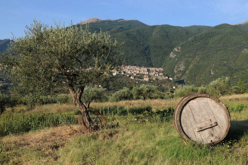 Felitto Turismo. Scopri il comune di Felitto - InfoCilento