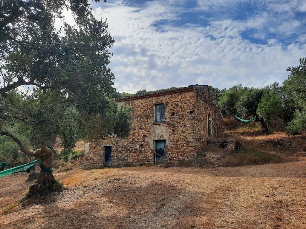 FOTO | InstaCilento, la settimana in 10 scatti - InfoCilento