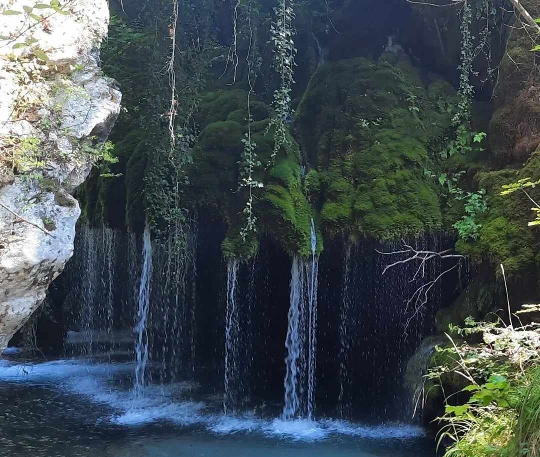Escursioni nel Cilento: alla scoperta dell'Oasi Cascate Capelli Di ...