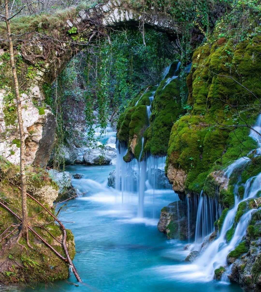 Escursioni nel Cilento: alla scoperta dell'Oasi Cascate Capelli Di ...