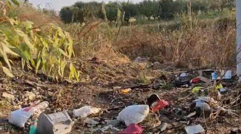 Gromola, dopo le carcasse di animali, abbandonati nell'ambiente anche ...