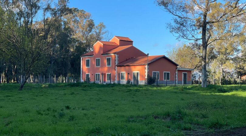 Eboli: "Dal mare alla pineta", tornano le domeniche all'aria aperta ...