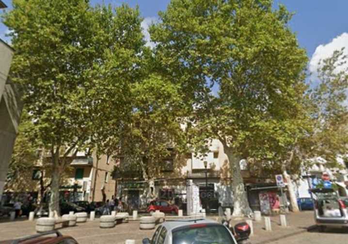 Eboli, paura in viale Amendola, si stacca un grosso ramo: colpito un ...